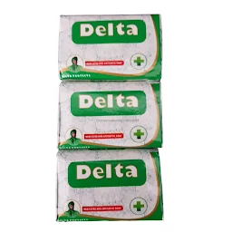 Delta Medicated and Antiseptic Soap (Pack of 6) – LAMBERTS BEDFORD